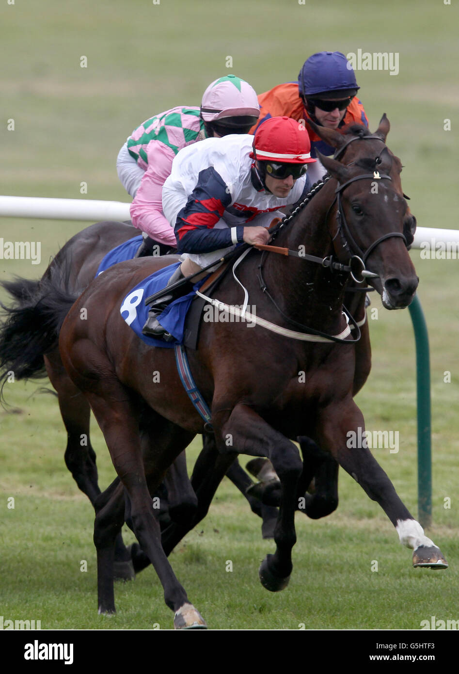 Horse Racing - Ayr Racecourse Stock Photo - Alamy