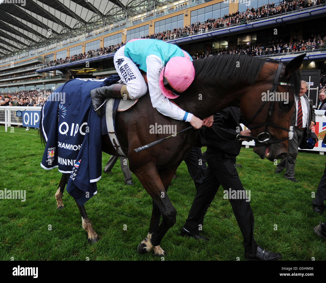 Frankel ascot hi-res stock photography and images - Alamy