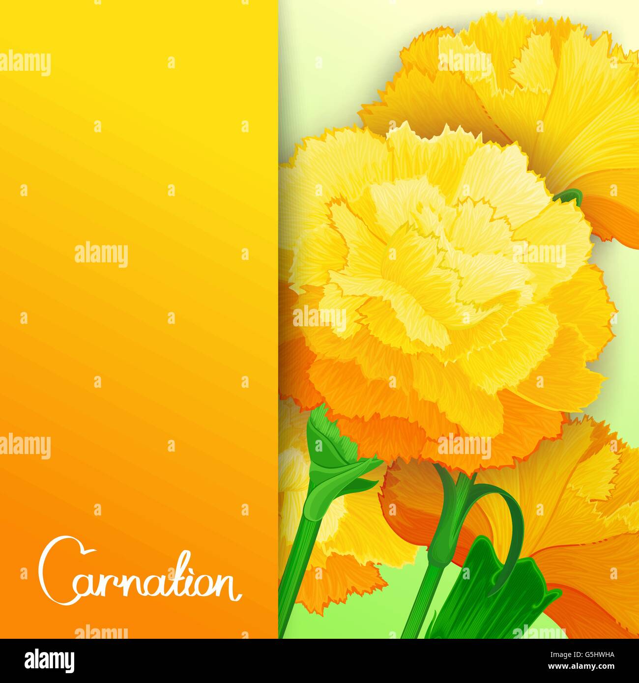 Carnation vector flowers design Stock Vector Image & Art - Alamy