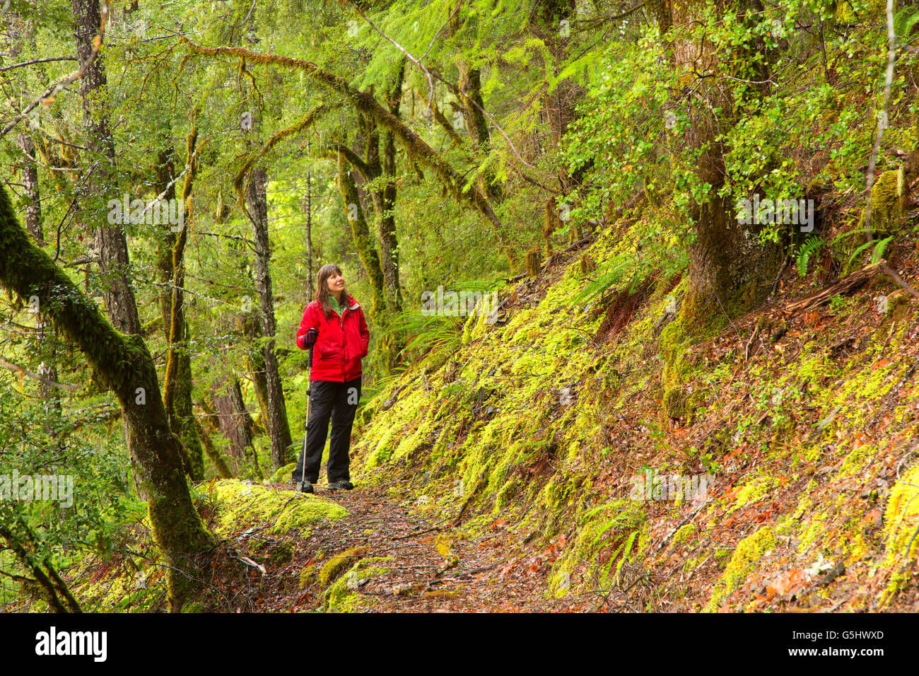 Taylor canyon hi-res stock photography and images - Alamy