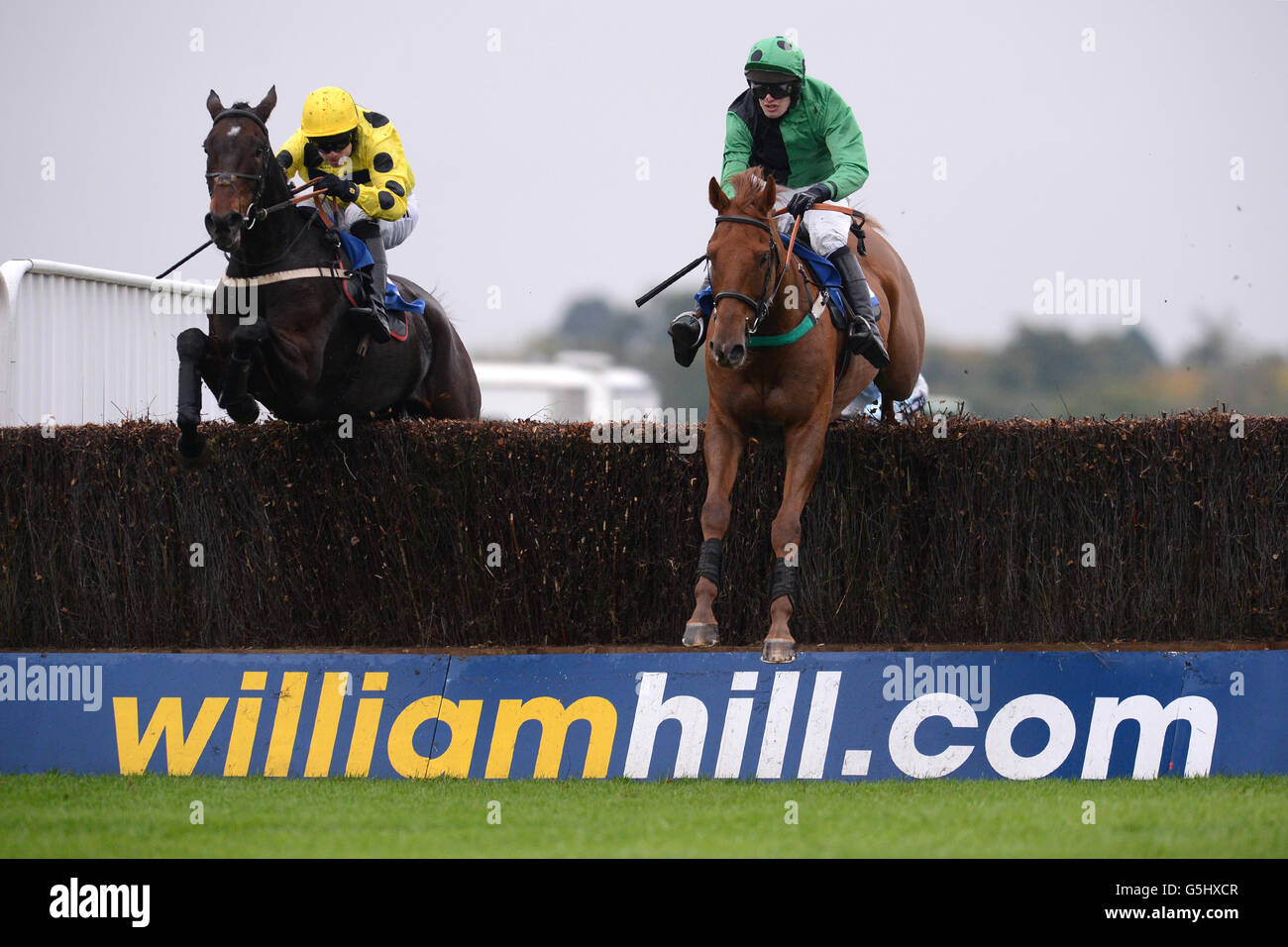 High jump horse racing hi-res stock photography and images - Alamy