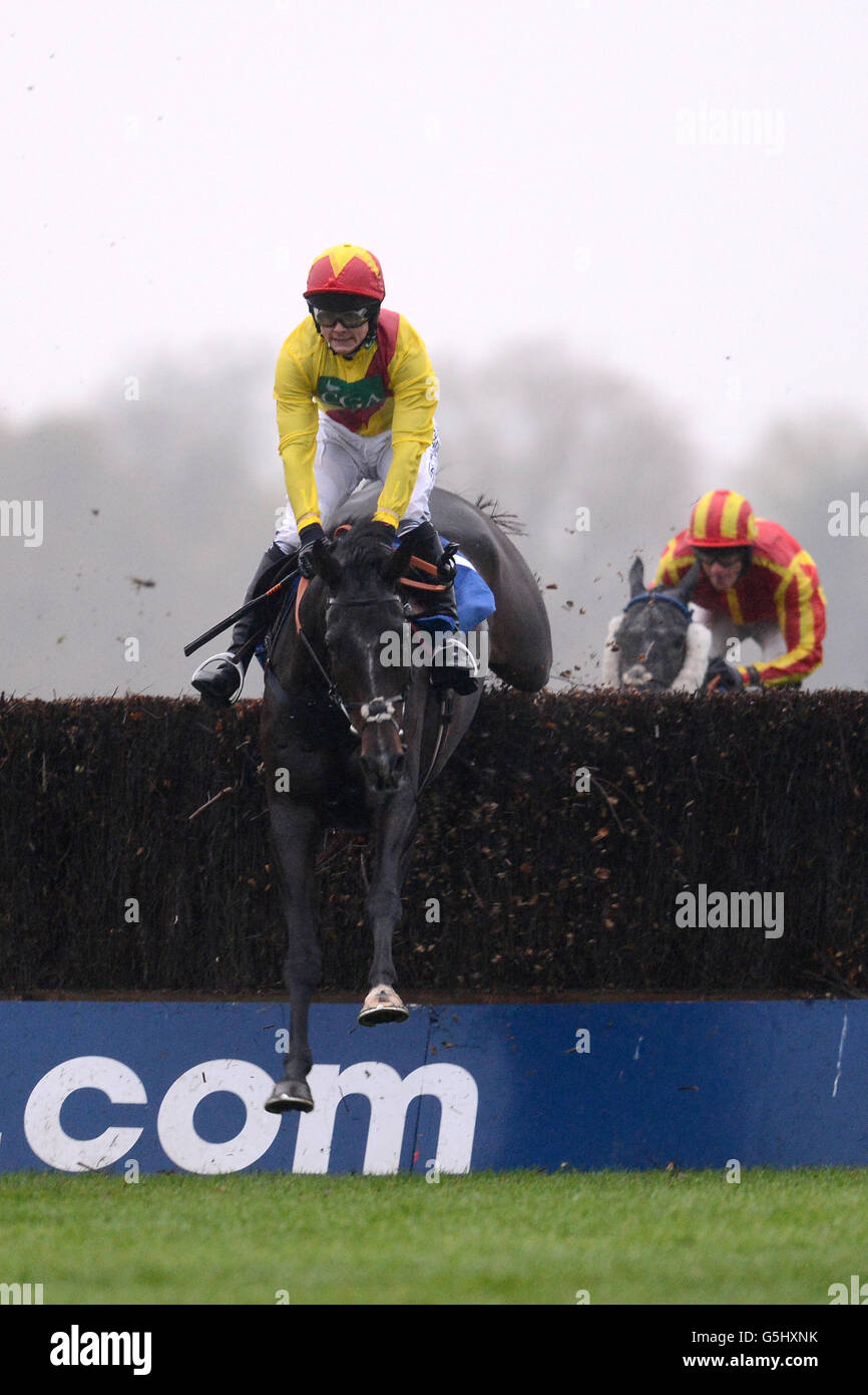Horse Racing - William Hill Jump Sunday - Kempton Racecourse Stock ...