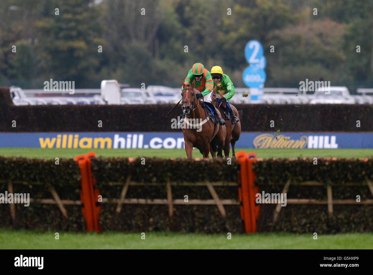 Horse Racing - William Hill Jump Sunday - Kempton Racecourse Stock ...