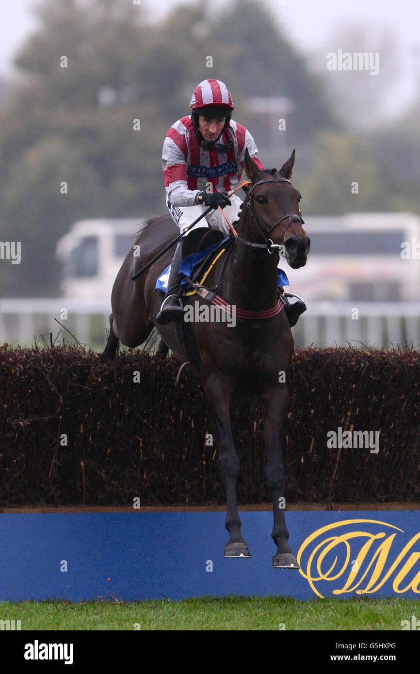 Horse Racing - William Hill Jump Sunday - Kempton Racecourse Stock ...