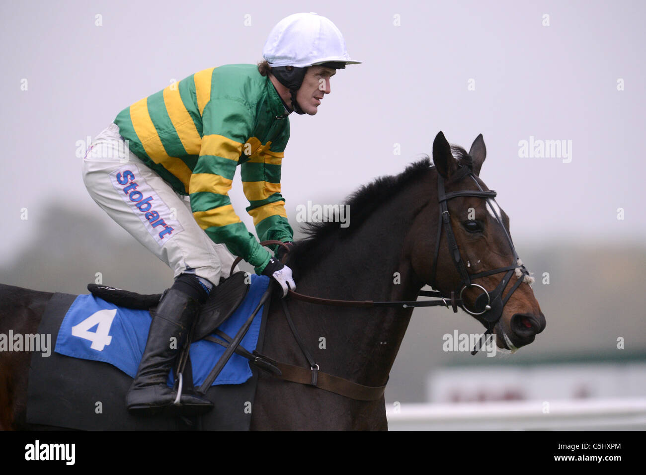 Horse Racing - William Hill Jump Sunday - Kempton Racecourse Stock ...