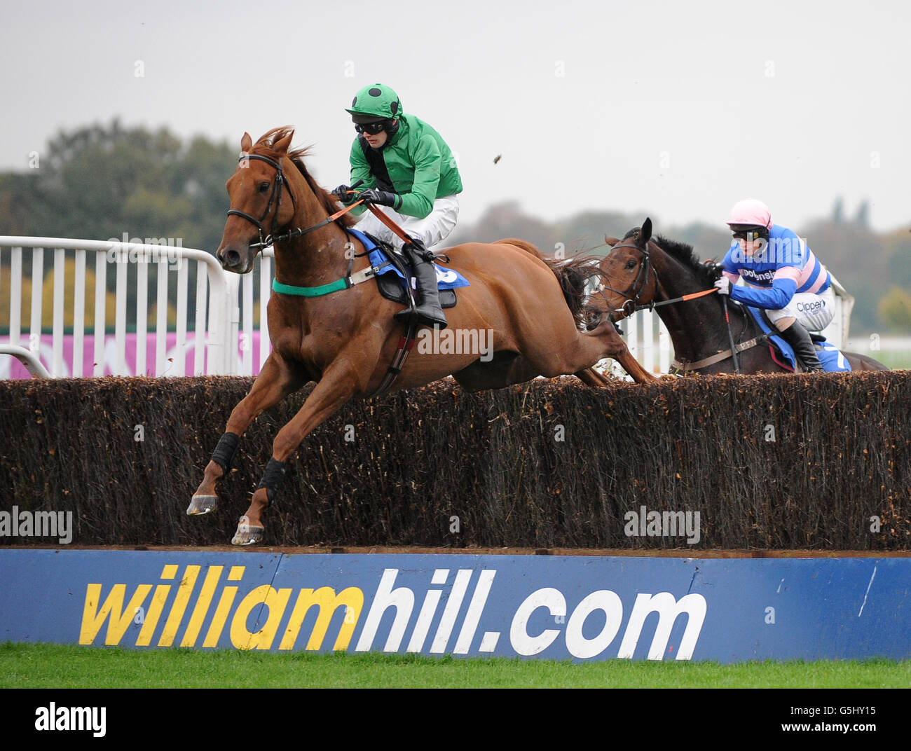 High jump horse racing hi-res stock photography and images - Alamy