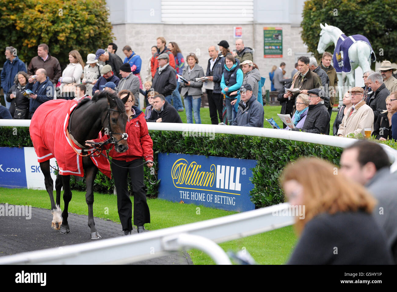 Horse racing william hill jump sunday kempton racecourse hi-res stock ...