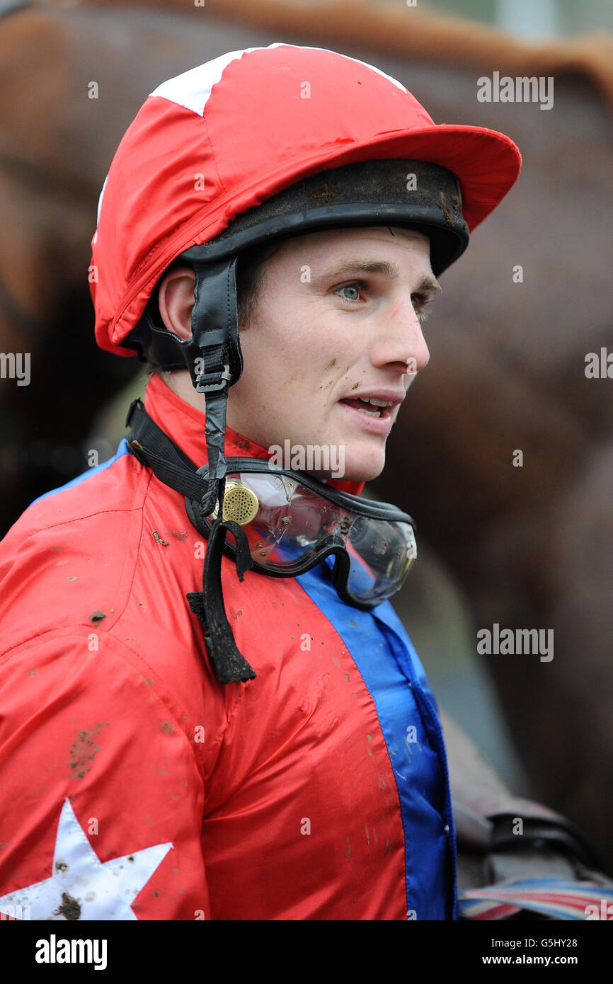 Horse racing william hill jump sunday kempton racecourse hi-res stock ...