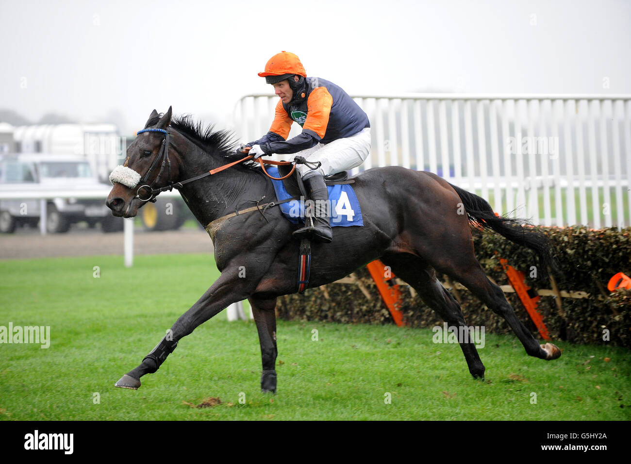 Horse Racing - William Hill Jump Sunday - Kempton Racecourse Stock ...
