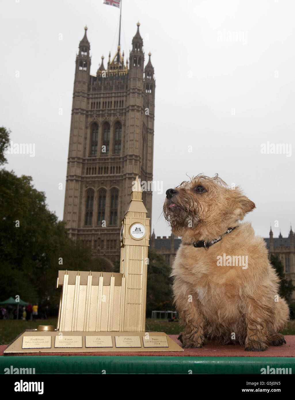 Charlie elphicke mp hi-res stock photography and images - Alamy