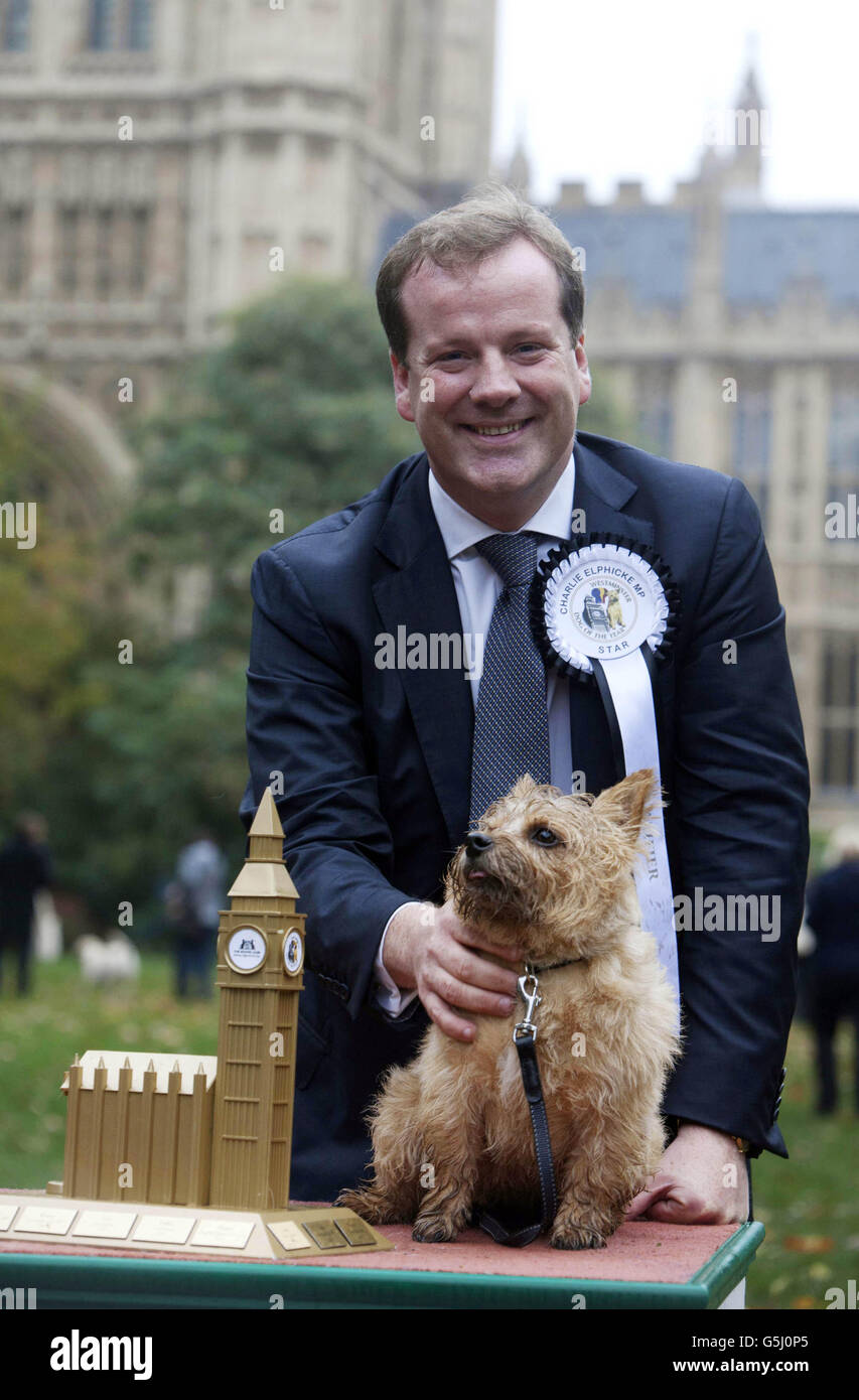 Charlie Elphicke MP for Dover and Deal with 4-year-old Norfolk Terrier ...