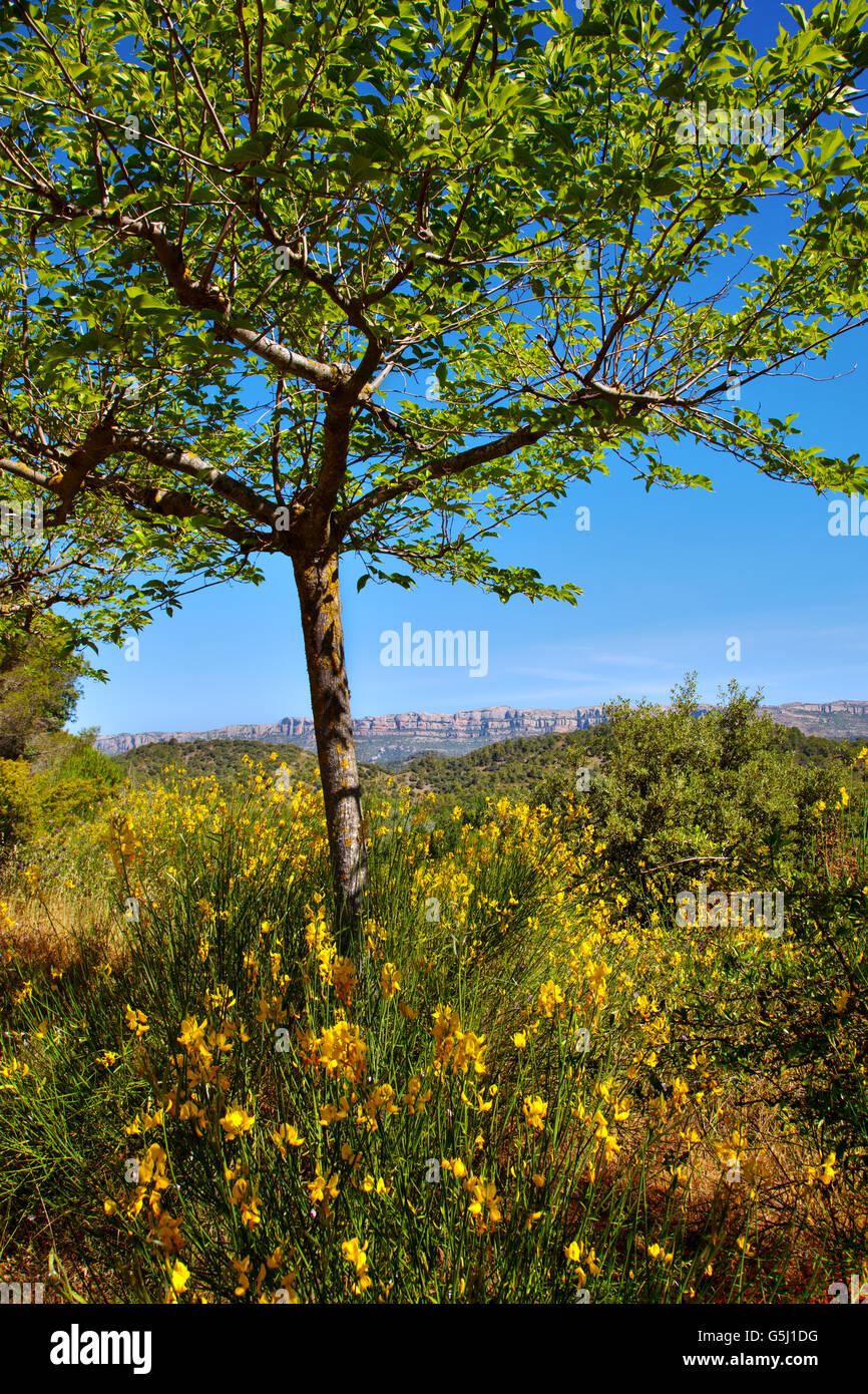 Tarragona landscape hi-res stock photography and images - Alamy