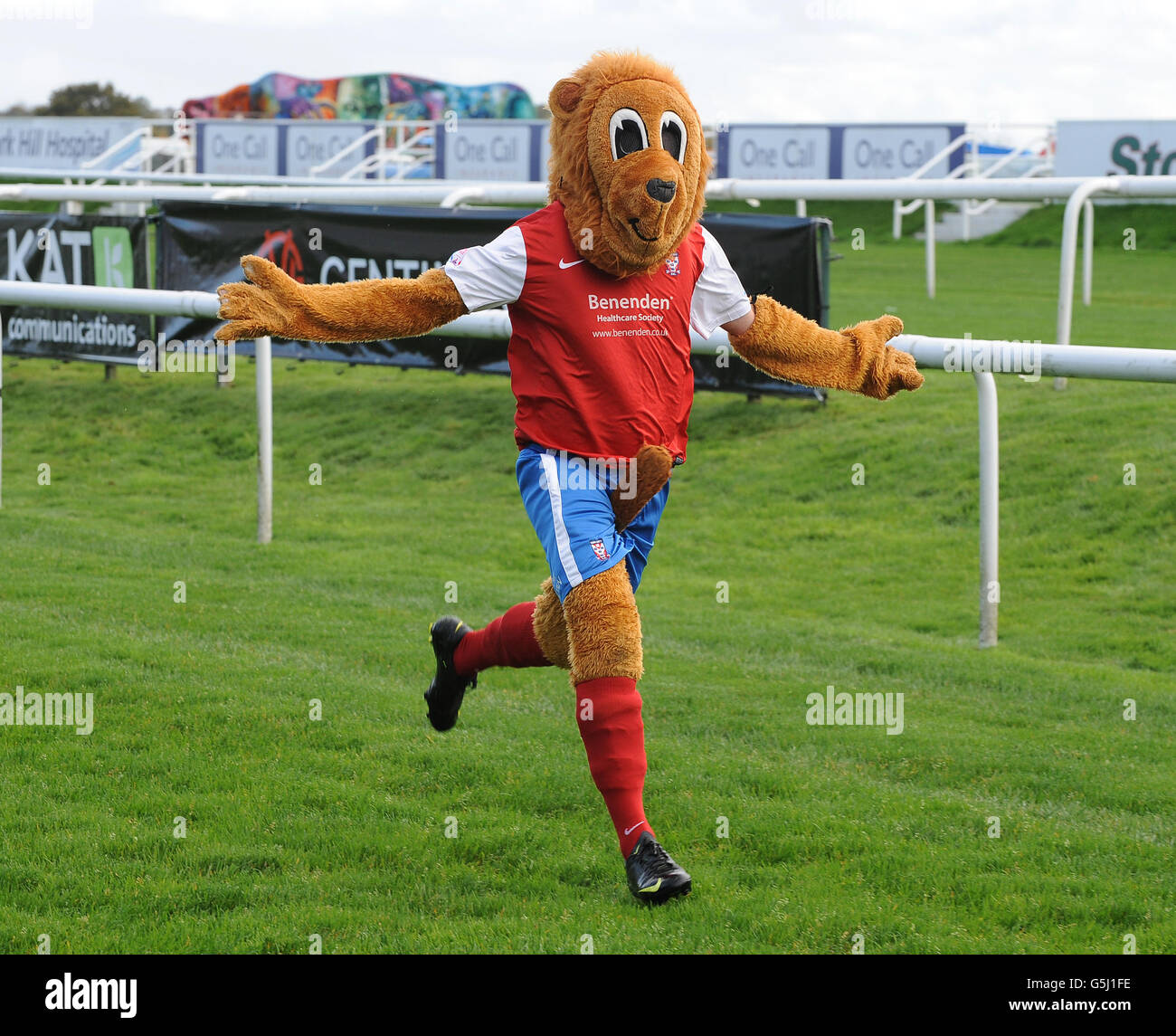 York city fcs yorkie the lion hi-res stock photography and images - Alamy