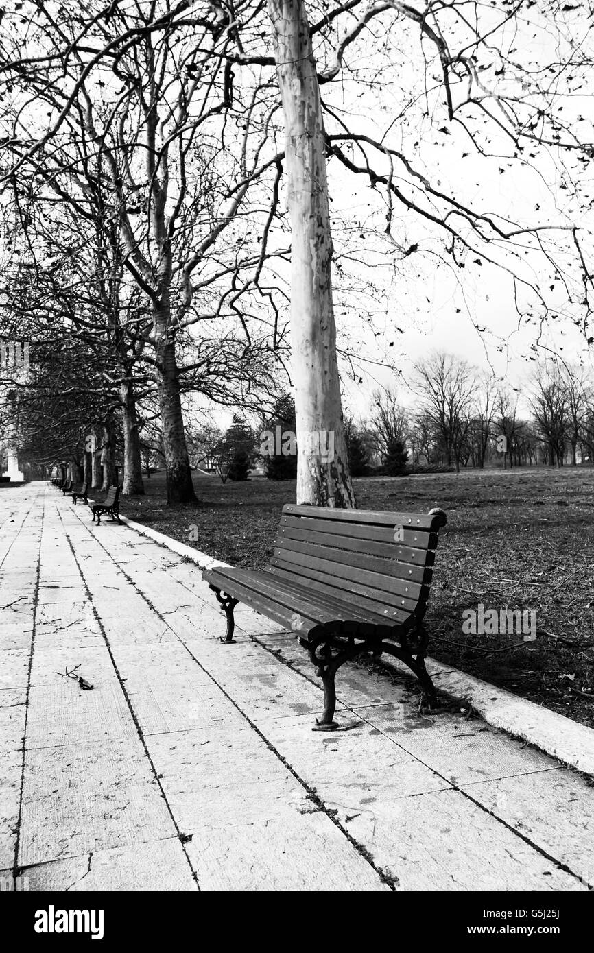 Backyard spring background Black and White Stock Photos & Images - Alamy