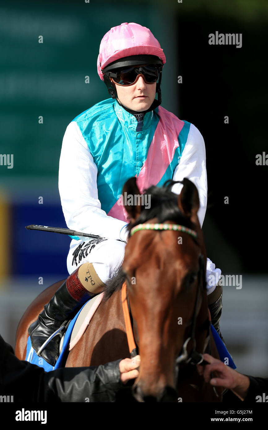 British horseracing board hi-res stock photography and images - Alamy
