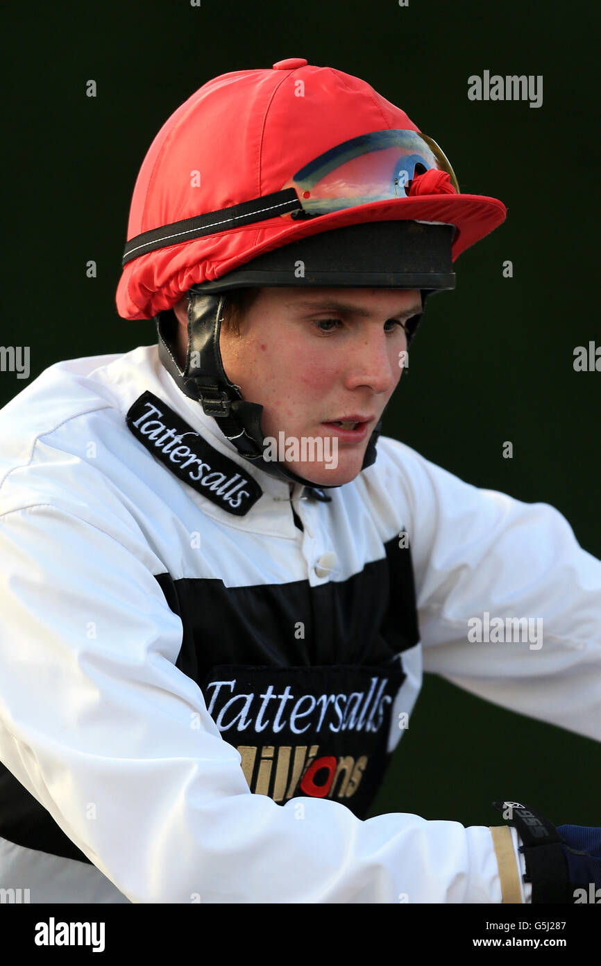 Horse Racing - Nottingham Races Stock Photo - Alamy