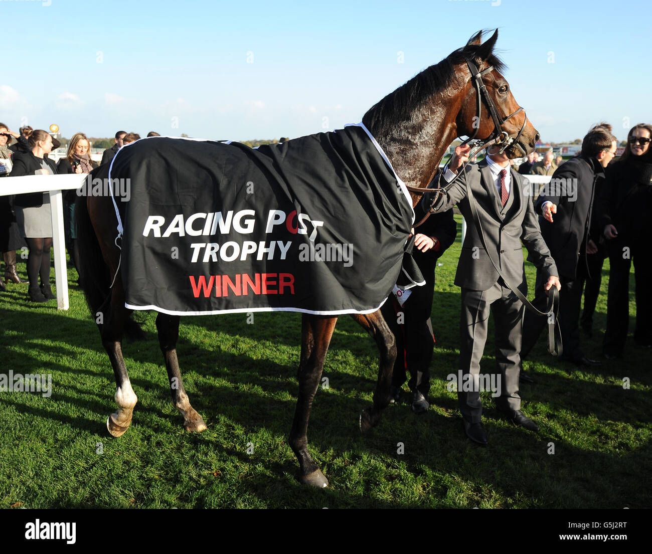 Kingsbarns after winning The Racing Post Trophy during the Racing Post ...