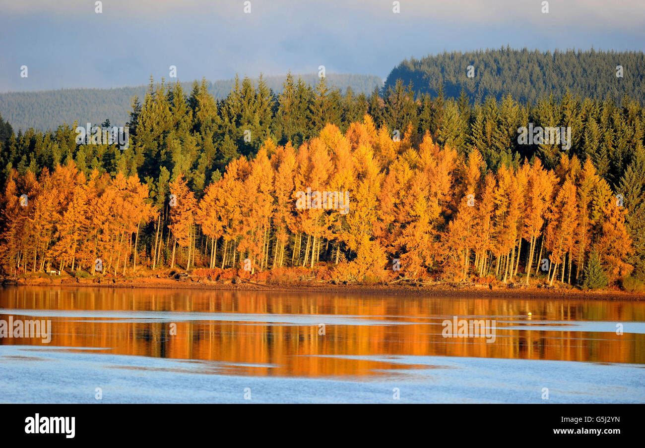 Autumn weather Oct 29 Stock Photo - Alamy