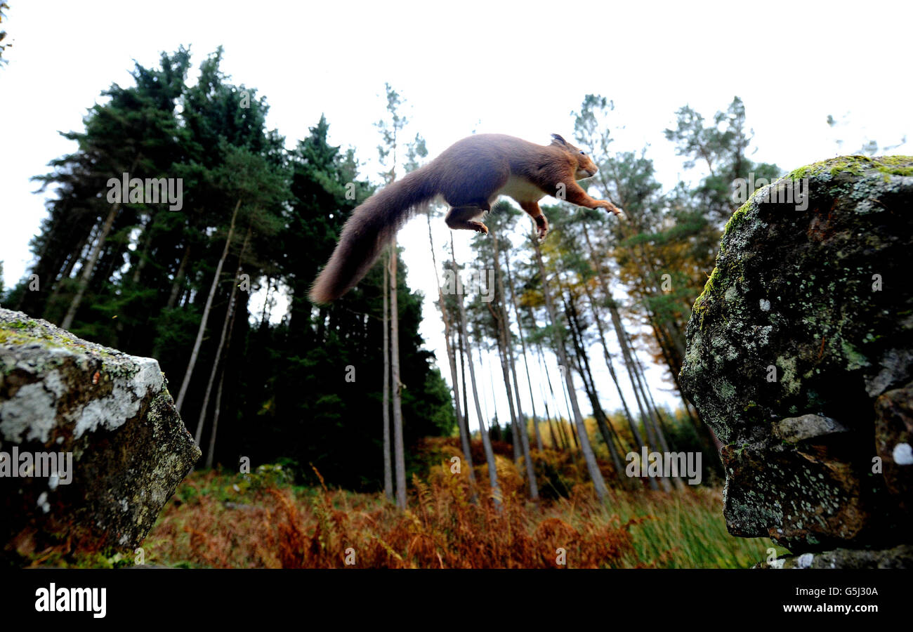 Weather autumn wip hi-res stock photography and images - Alamy