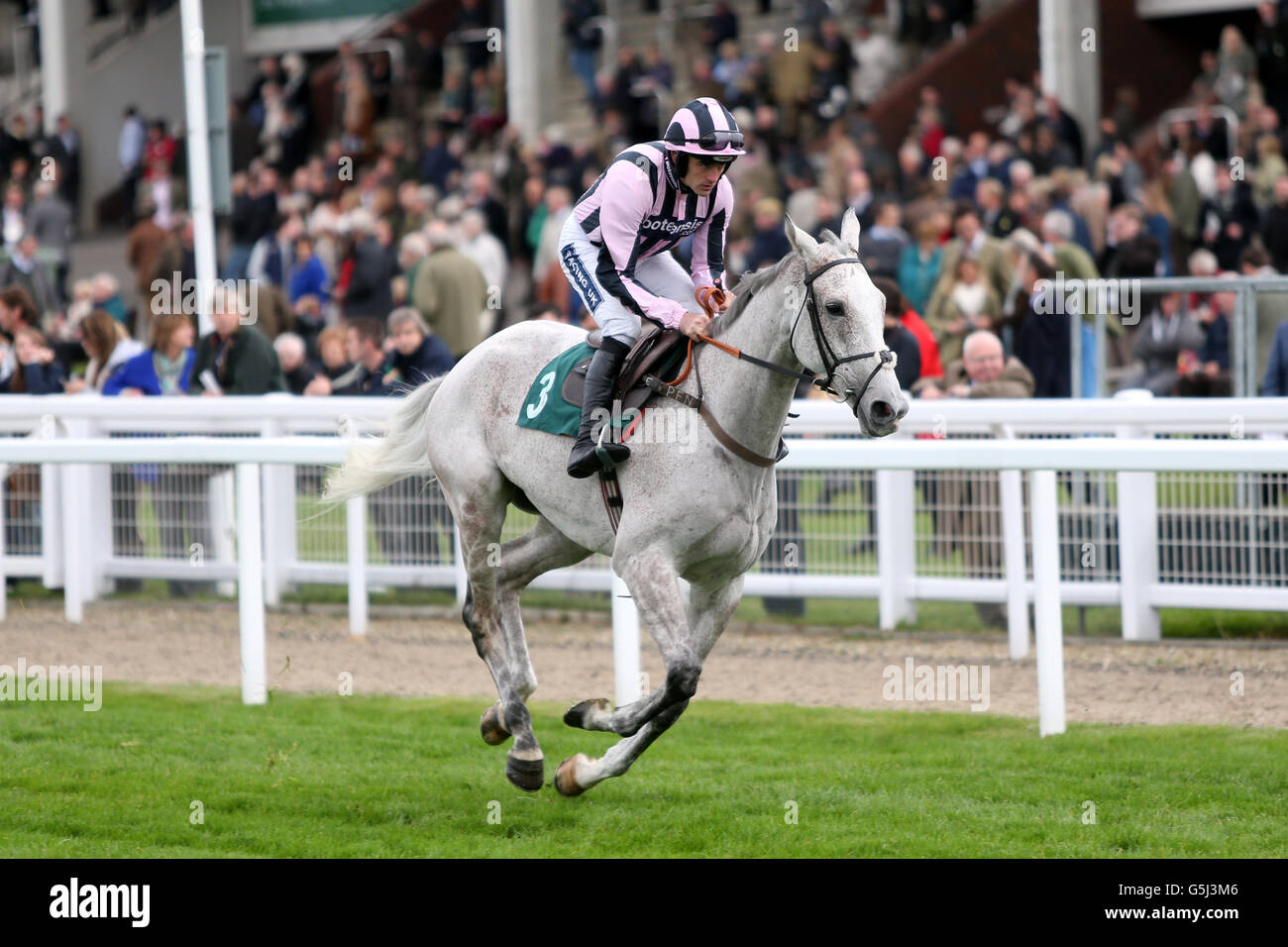 Horse Racing - Cheltenham Stock Photo - Alamy