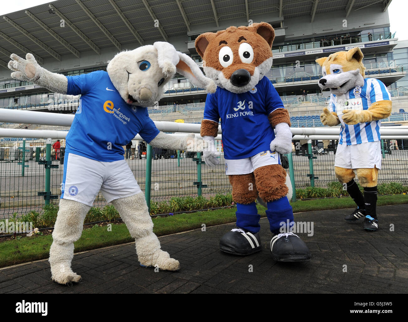 Huddersfield towns mascot terry the terrier hi-res stock photography ...