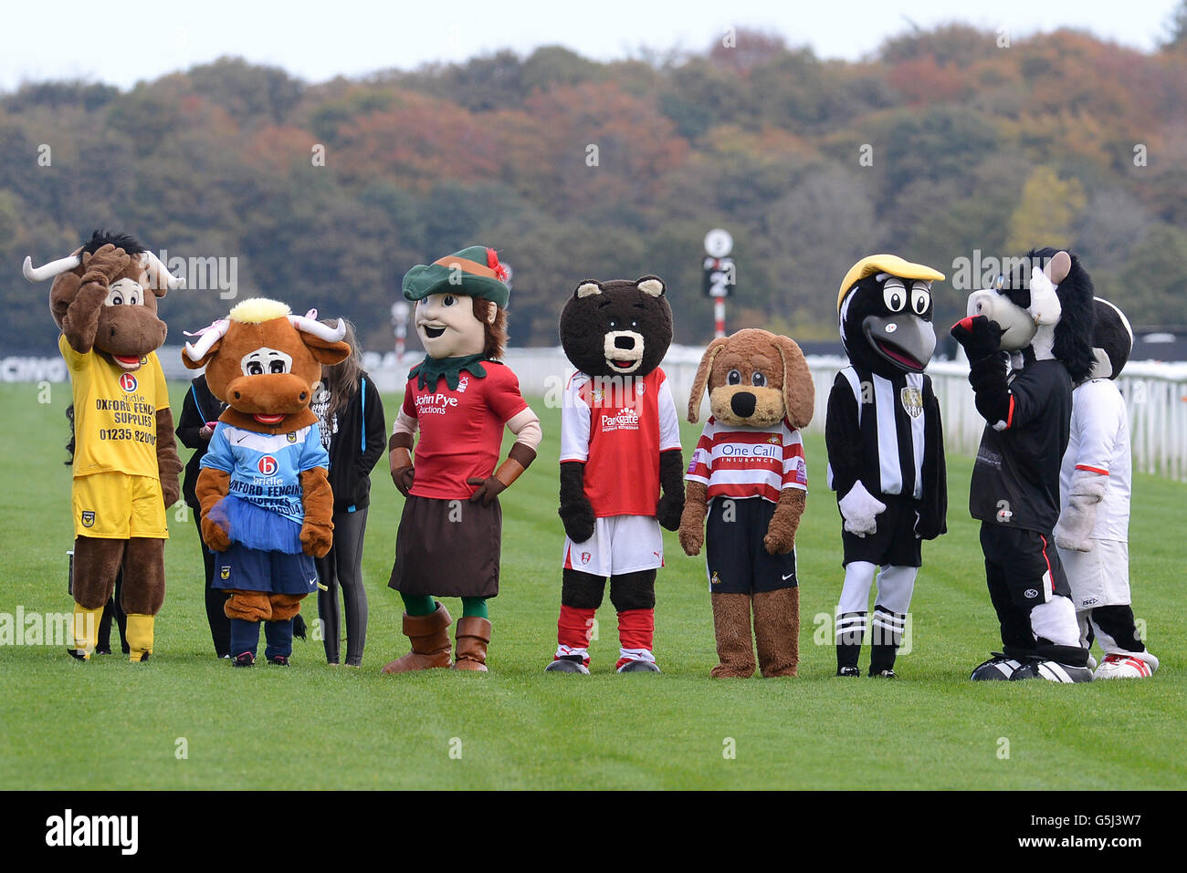 Mascots line up before the start of the Football League Mascot Race, in ...