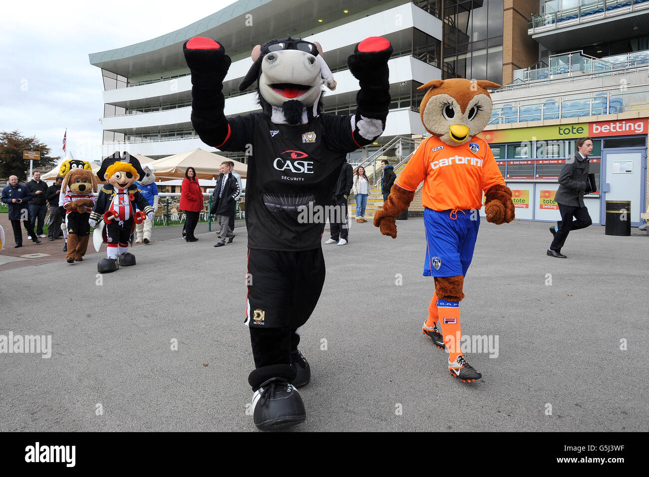 Oldham athletic mascot chaddy the owl hi-res stock photography and ...