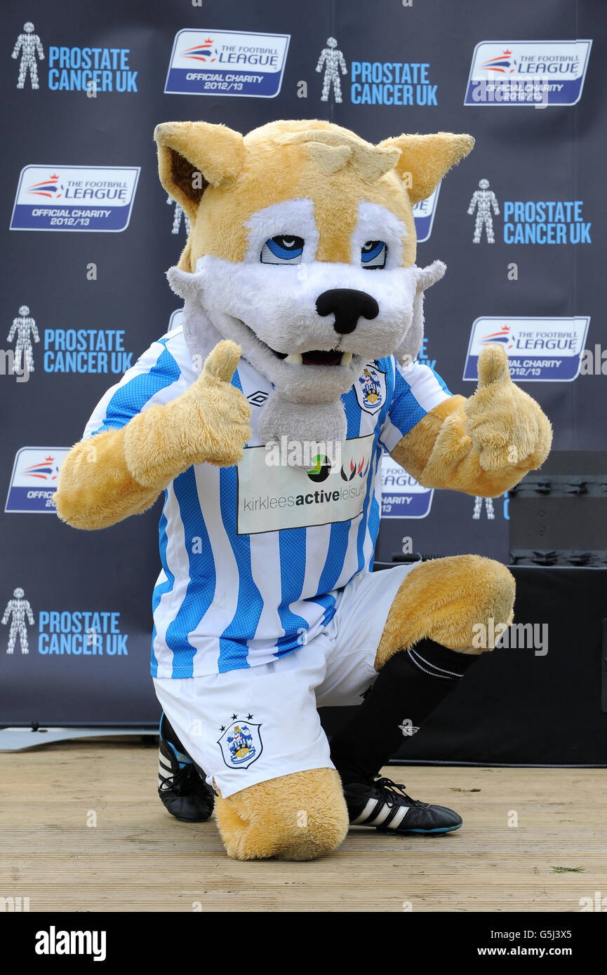 Huddersfield Town mascot Terry The Terrier, following the Football ...
