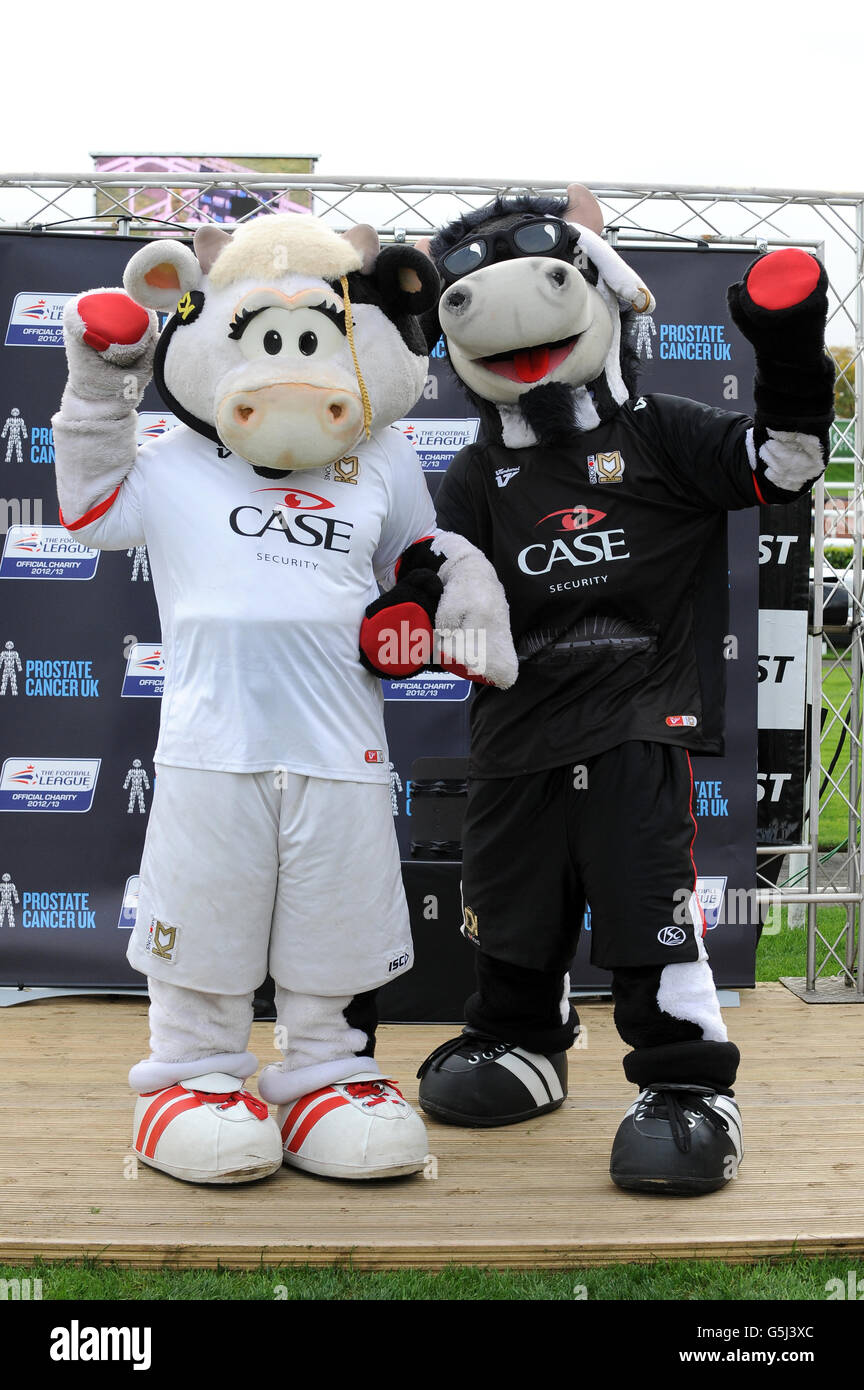 Some of the mascots in the football league mascot race High Resolution ...