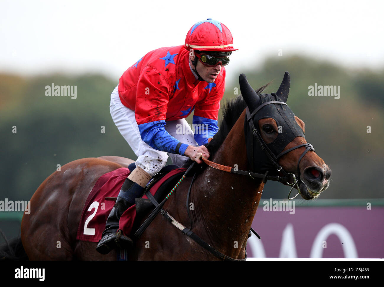 Horse Racing - Haydock Park Racecourse Stock Photo - Alamy