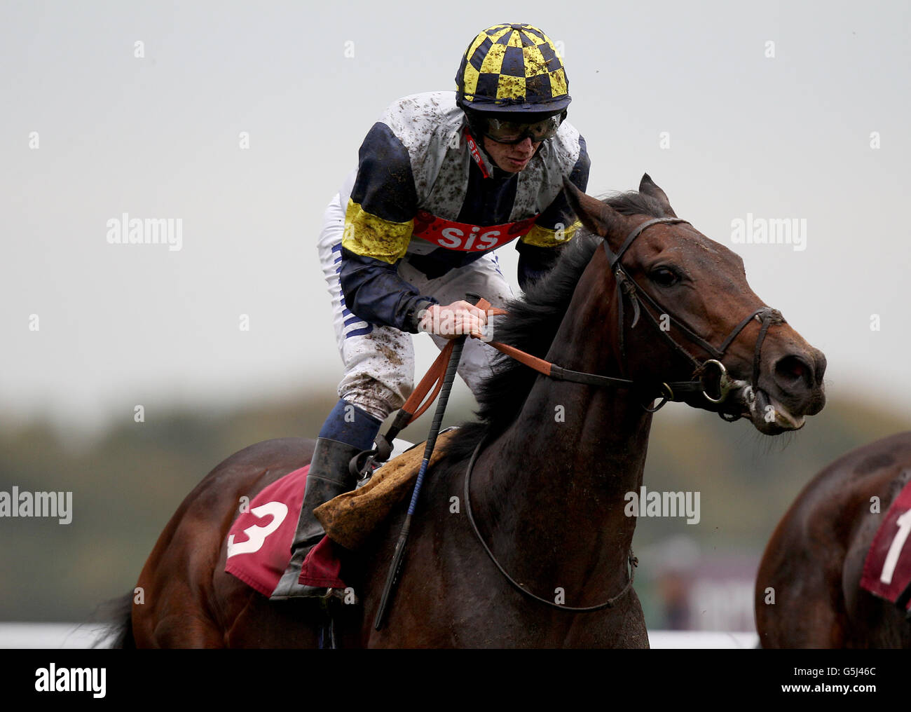 Horse Racing - Haydock Park Racecourse Stock Photo - Alamy