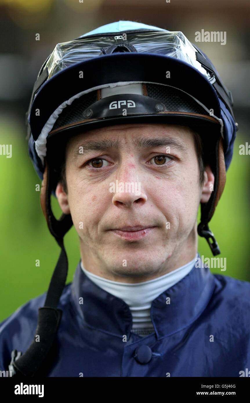 Horse Racing - Haydock Park Racecourse Stock Photo - Alamy