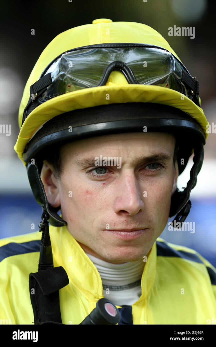 Horse Racing - Haydock Park Racecourse Stock Photo - Alamy