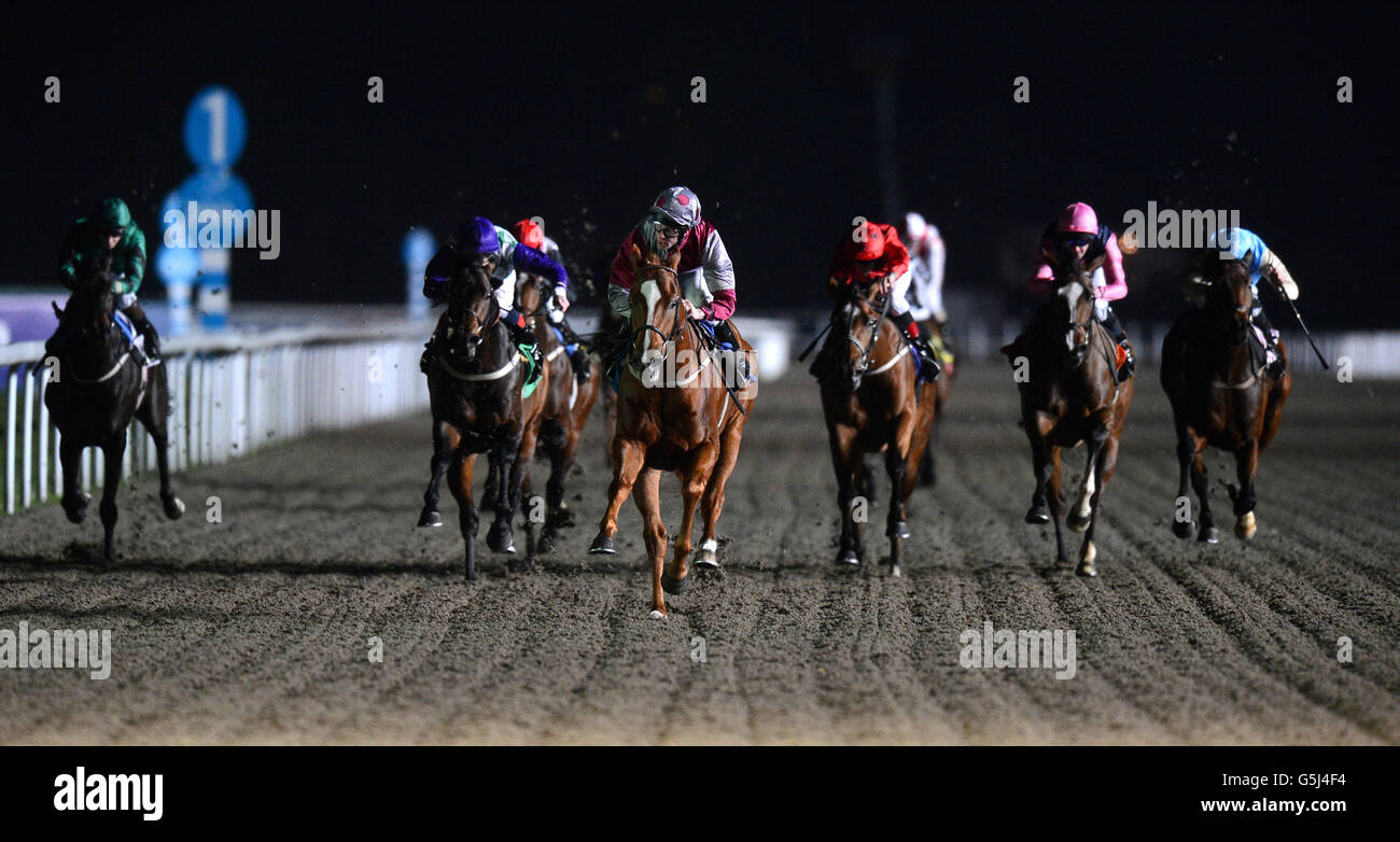 Horse Racing - Kempton Races Stock Photo - Alamy