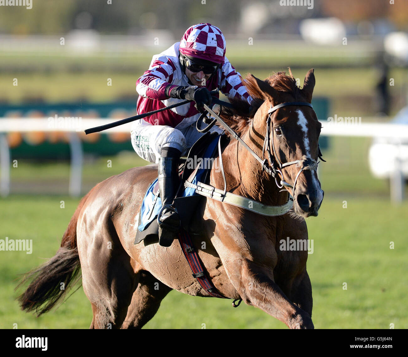 Crack Away Jack and Paddy Brennan finish second in the John Smiths ...