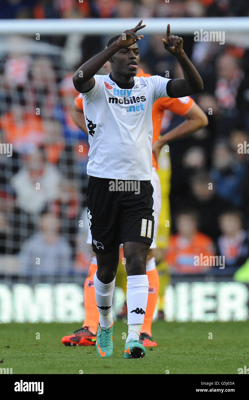 Derby County's Theo Robinson celebrates his goal during the npower ...