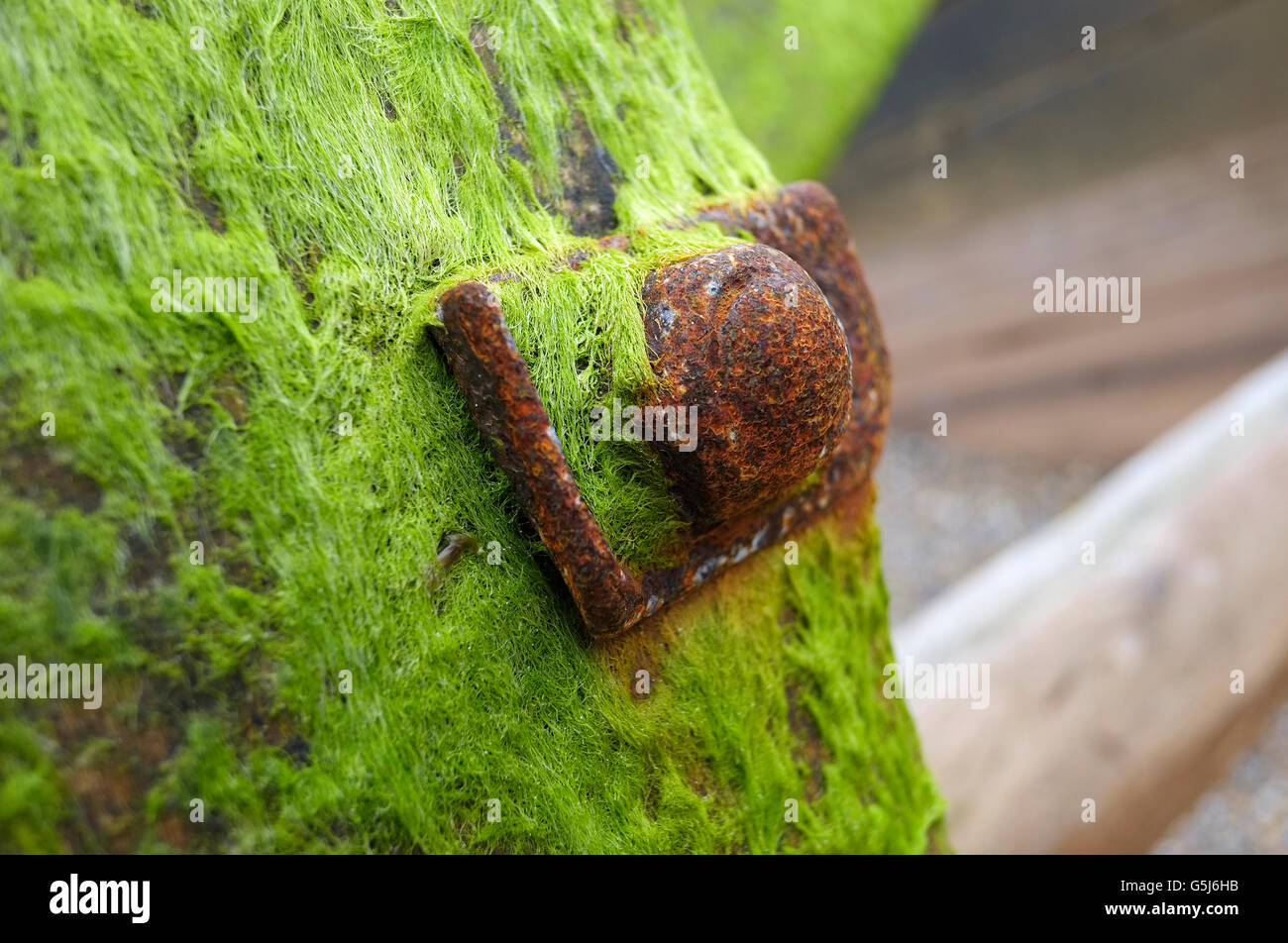 Nut bolt rust hi-res stock photography and images - Alamy