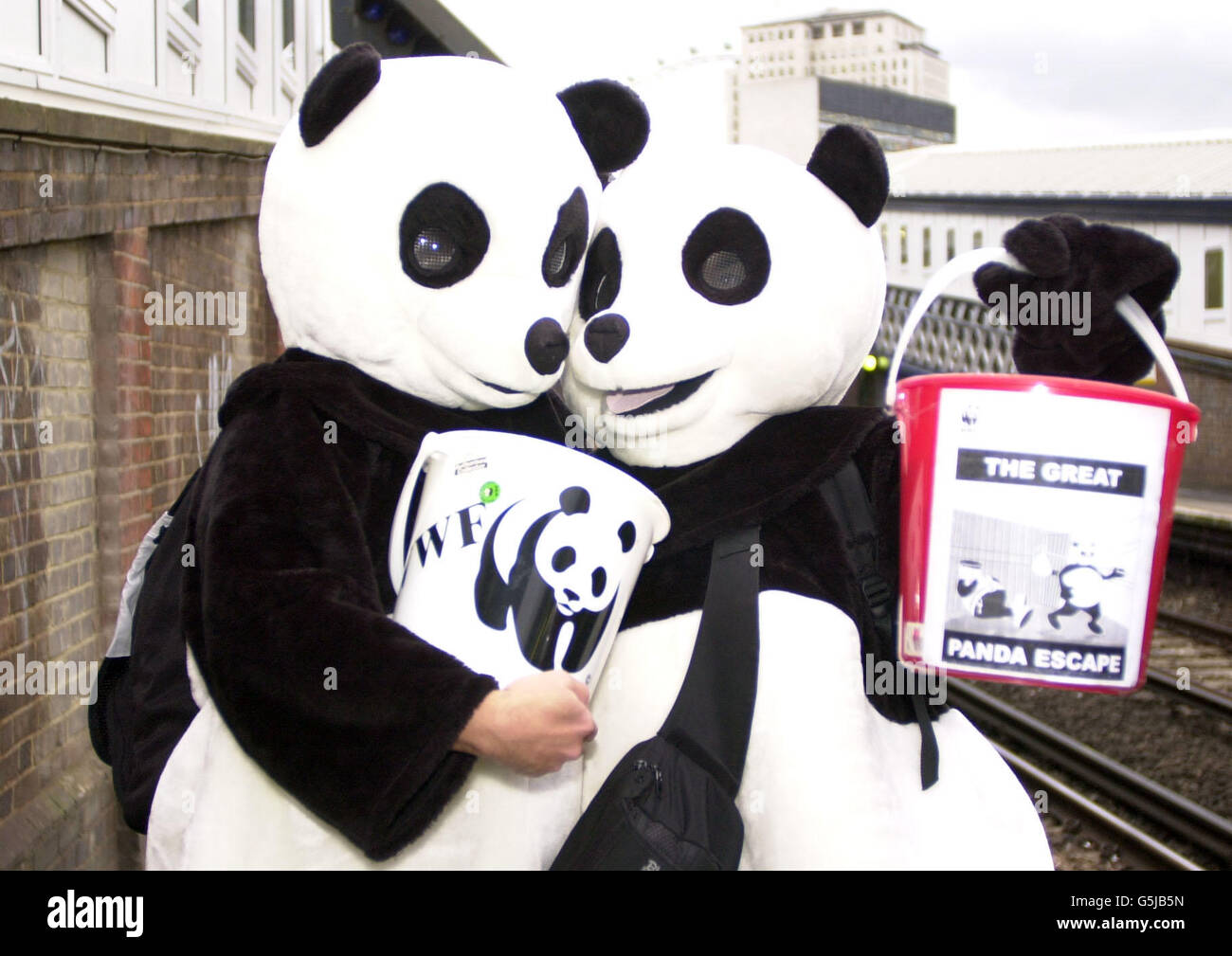 Nine members of the World Wildlife Fund dress up as Pandas and travel ...