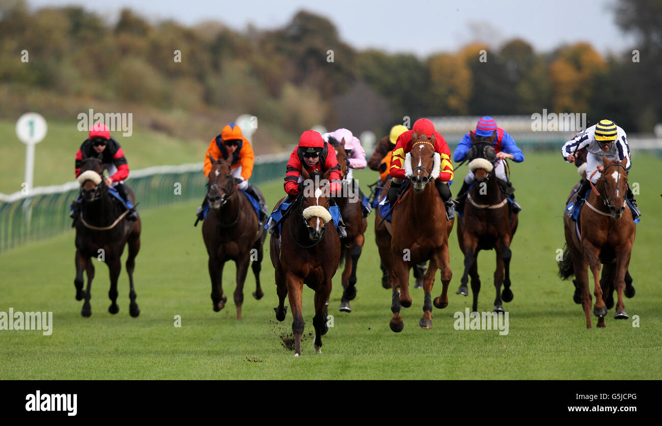 Horse Racing - Nottingham Races Stock Photo - Alamy