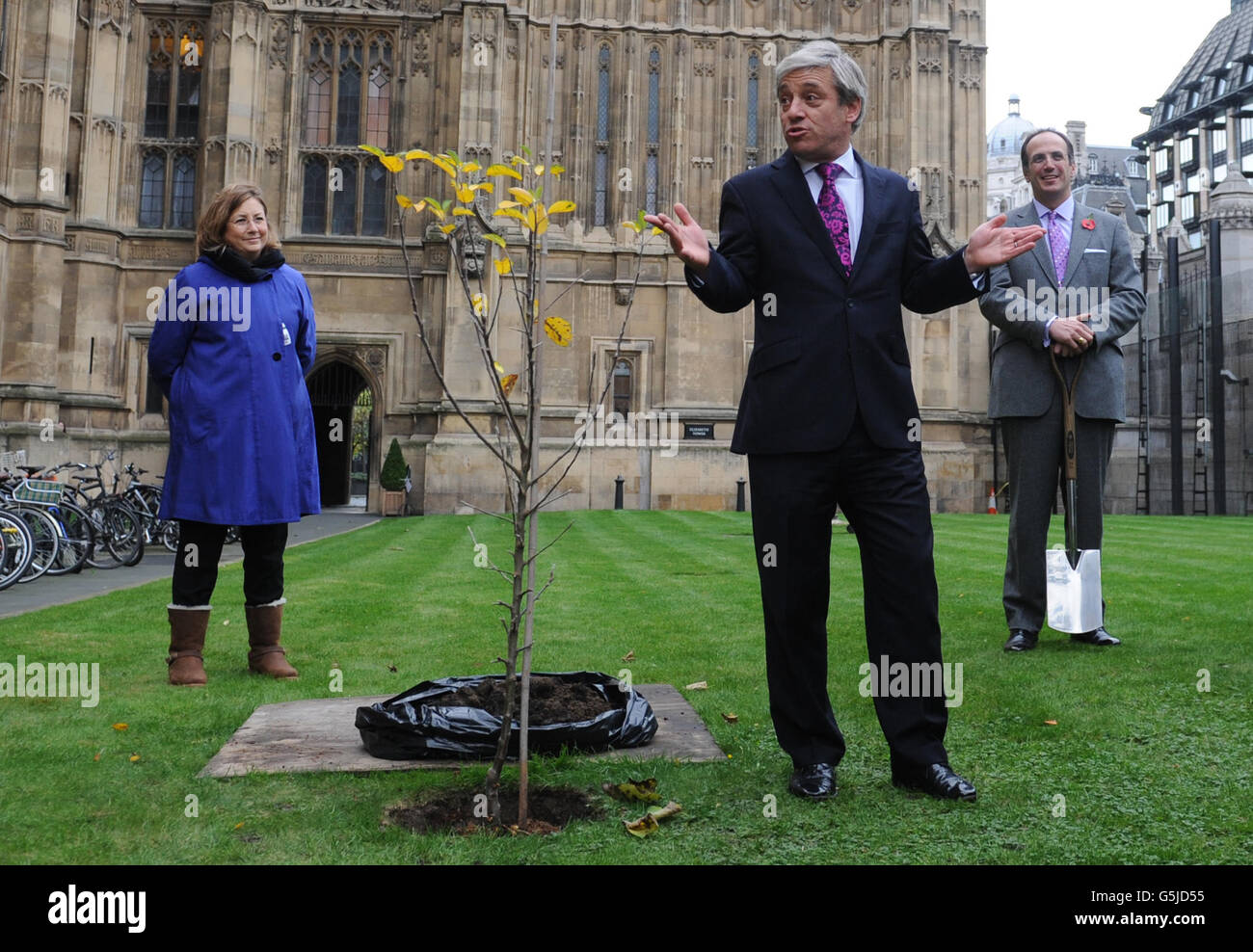 Plants and woods hi-res stock photography and images - Alamy