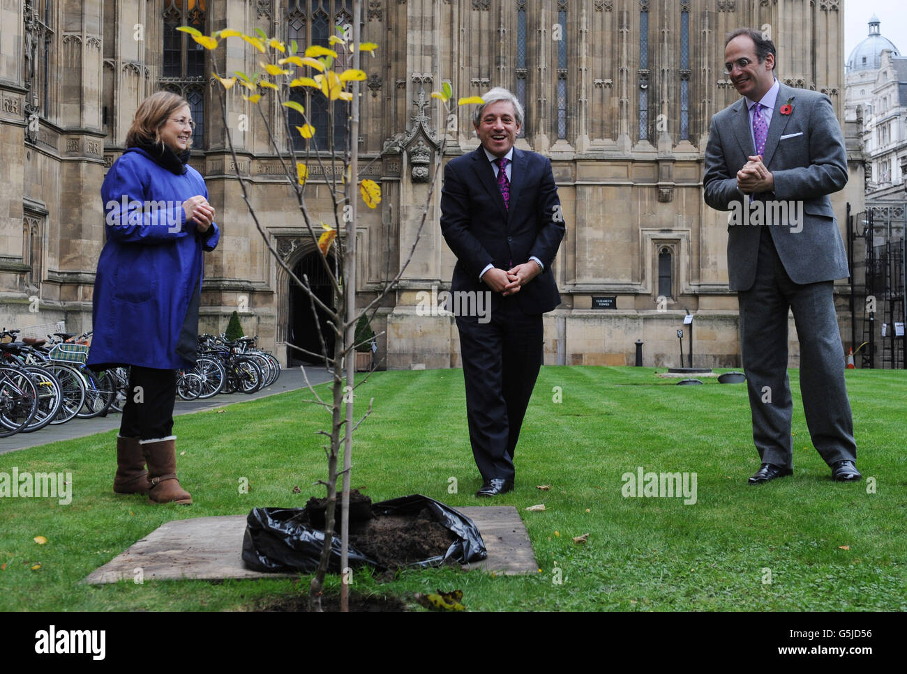 Jubilee Woods Project tree planted Stock Photo - Alamy