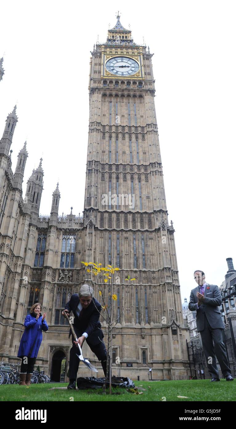 Jubilee Woods Project tree planted Stock Photo - Alamy