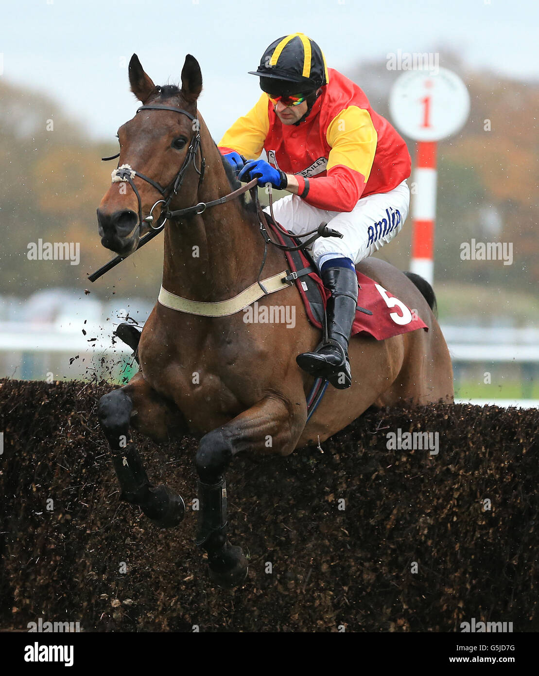 Horse Racing - Haydock Races Stock Photo - Alamy