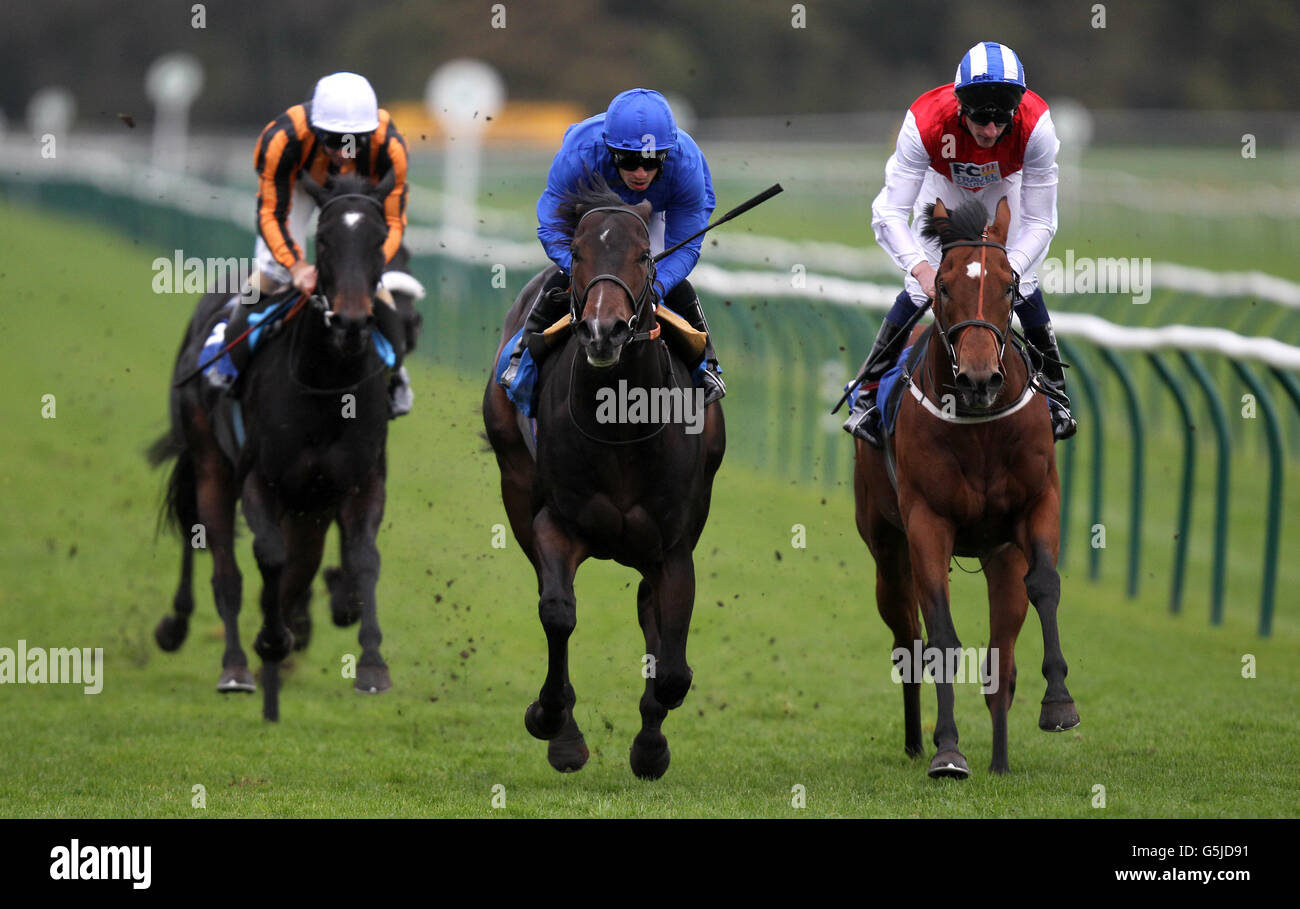 Horse Racing - Nottingham Races Stock Photo - Alamy