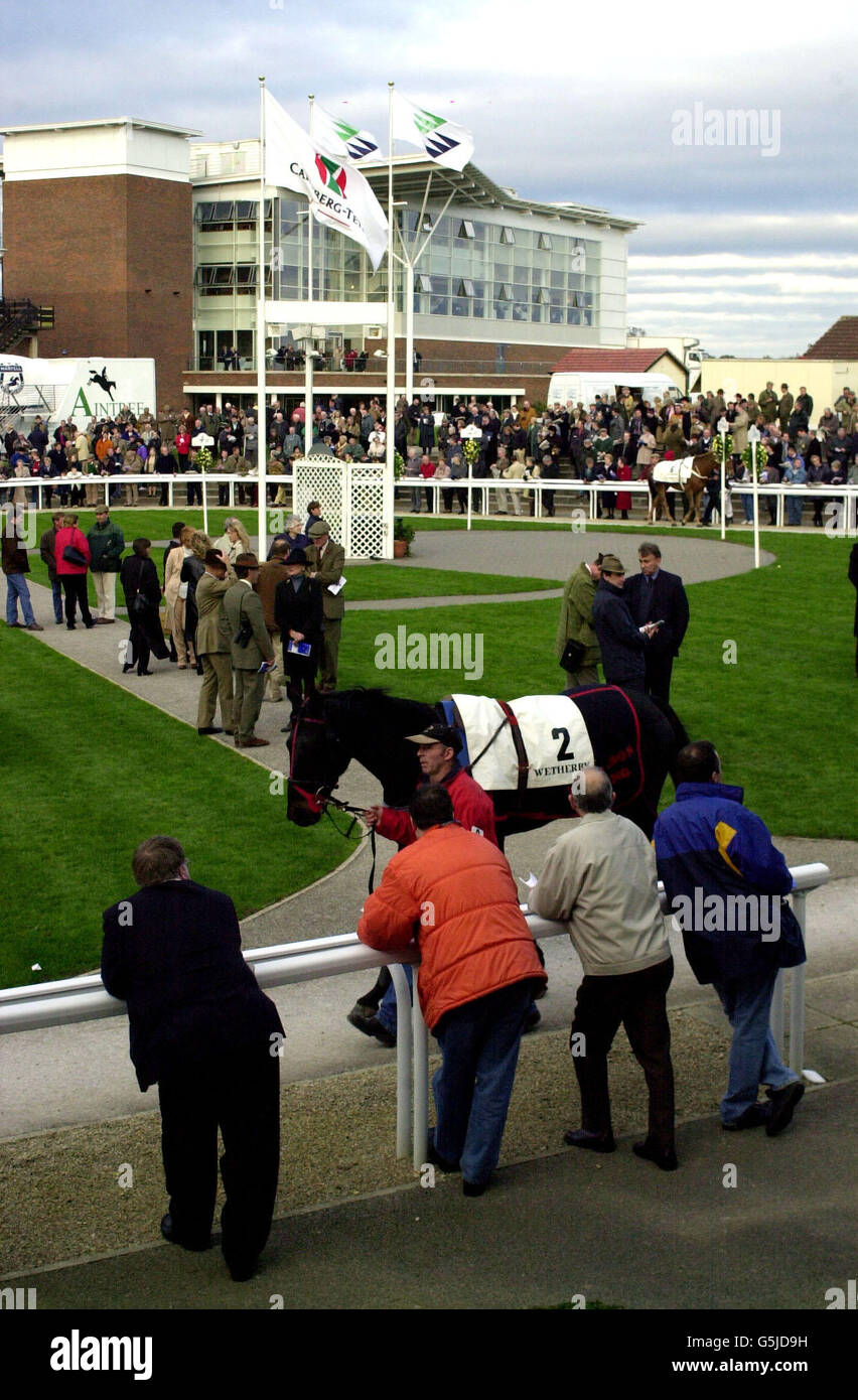 Racing Wetherby. Wetherby Race Course, parading ring Stock Photo - Alamy