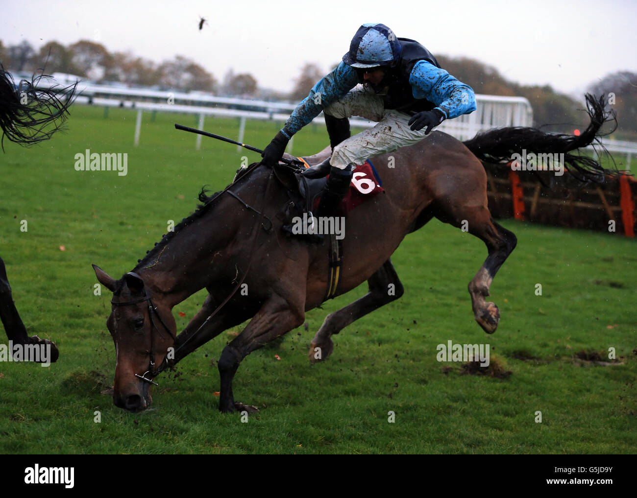 Racing haydock racing haydock full length fulllength hi-res stock ...