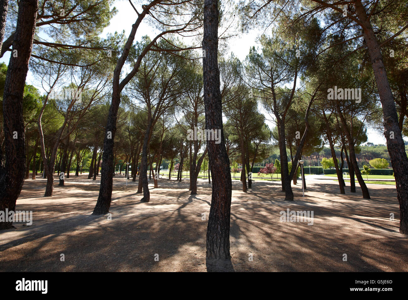 Park horizontal format hi-res stock photography and images - Alamy