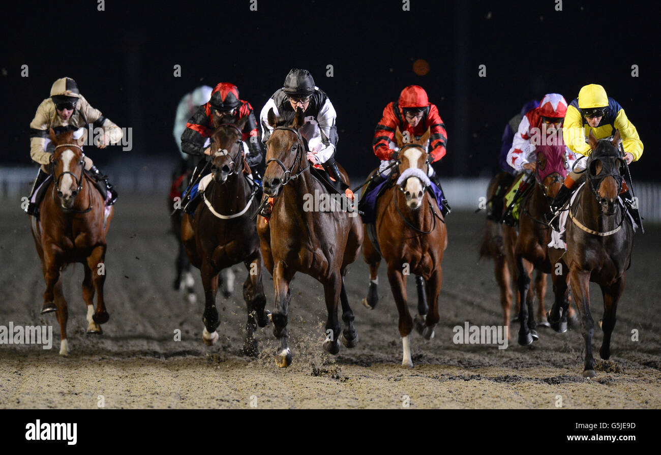 Horse Racing - Kempton Races Stock Photo - Alamy