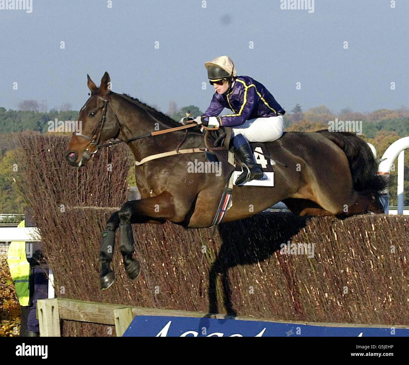 Logician hi-res stock photography and images - Alamy