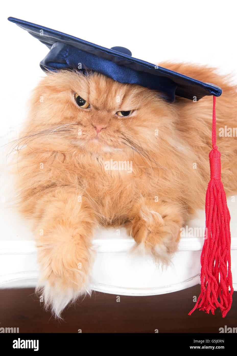 Costume graduate hi-res stock photography and images - Alamy
